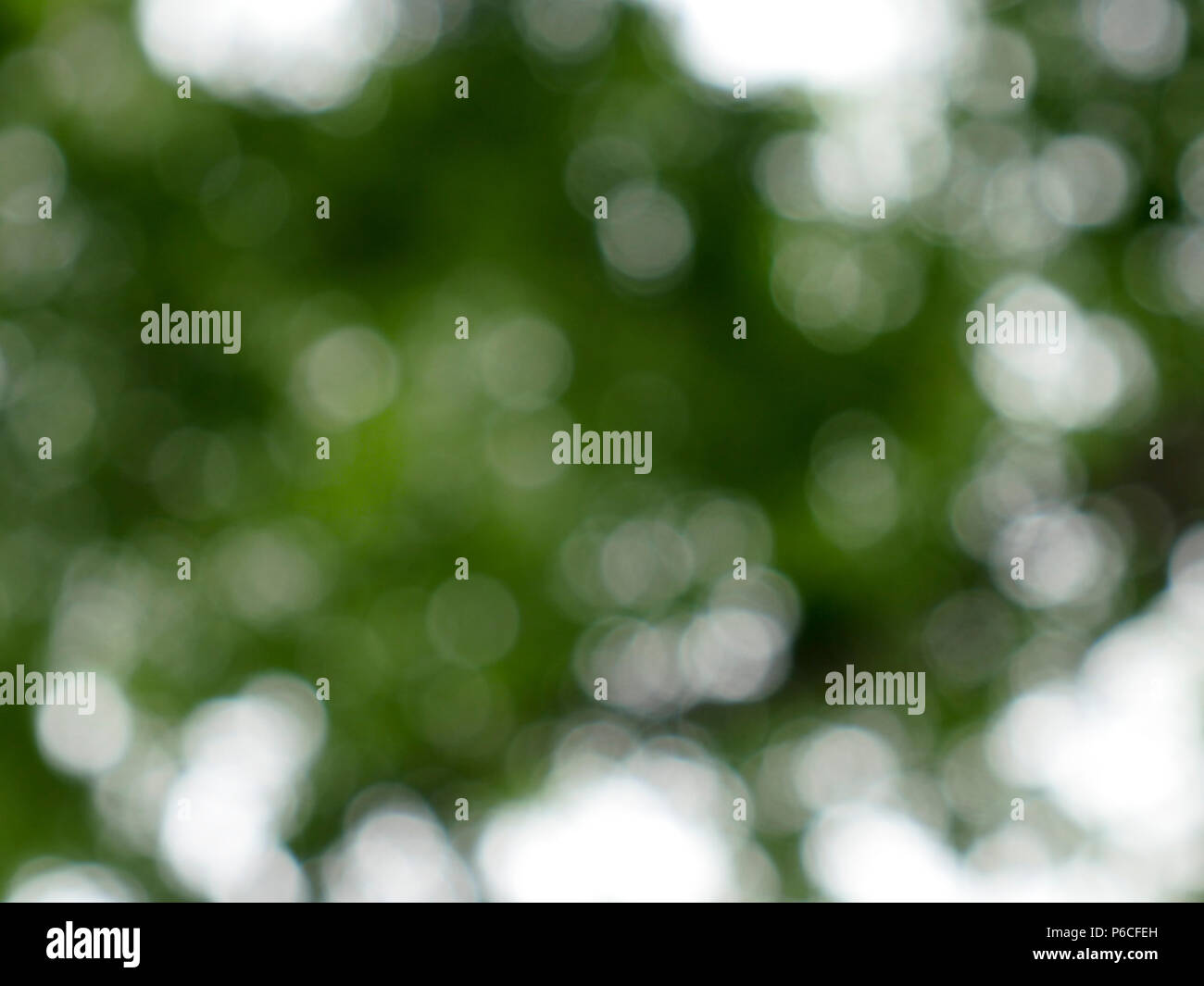 Circle of greenery hi-res stock photography and images - Alamy