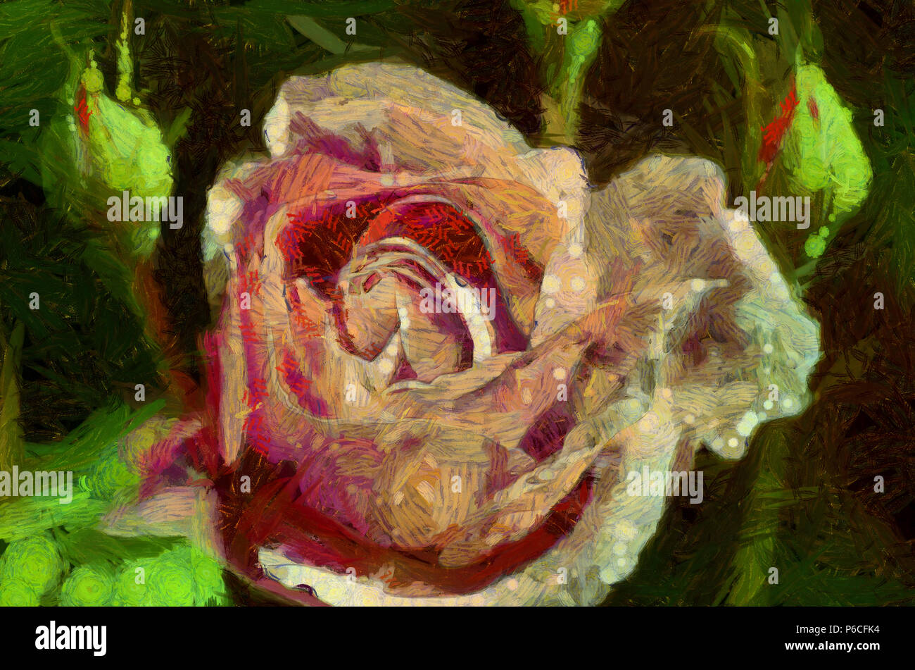 Flowers pink roses, rose ( Latin Rosa Stock Photo - Alamy