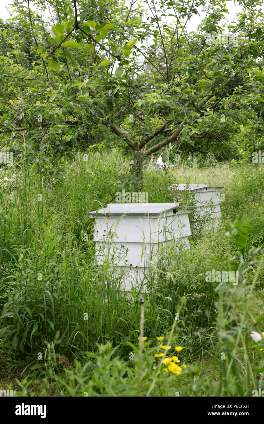 Traditional beehives hi-res stock photography and images - Alamy