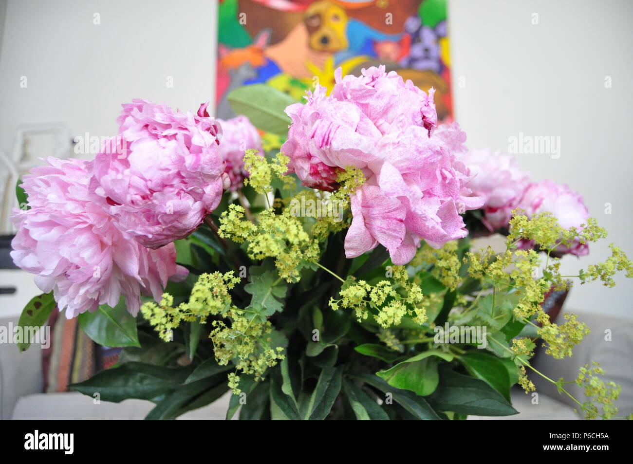 Big Beautiful Peonies Stock Photo - Alamy