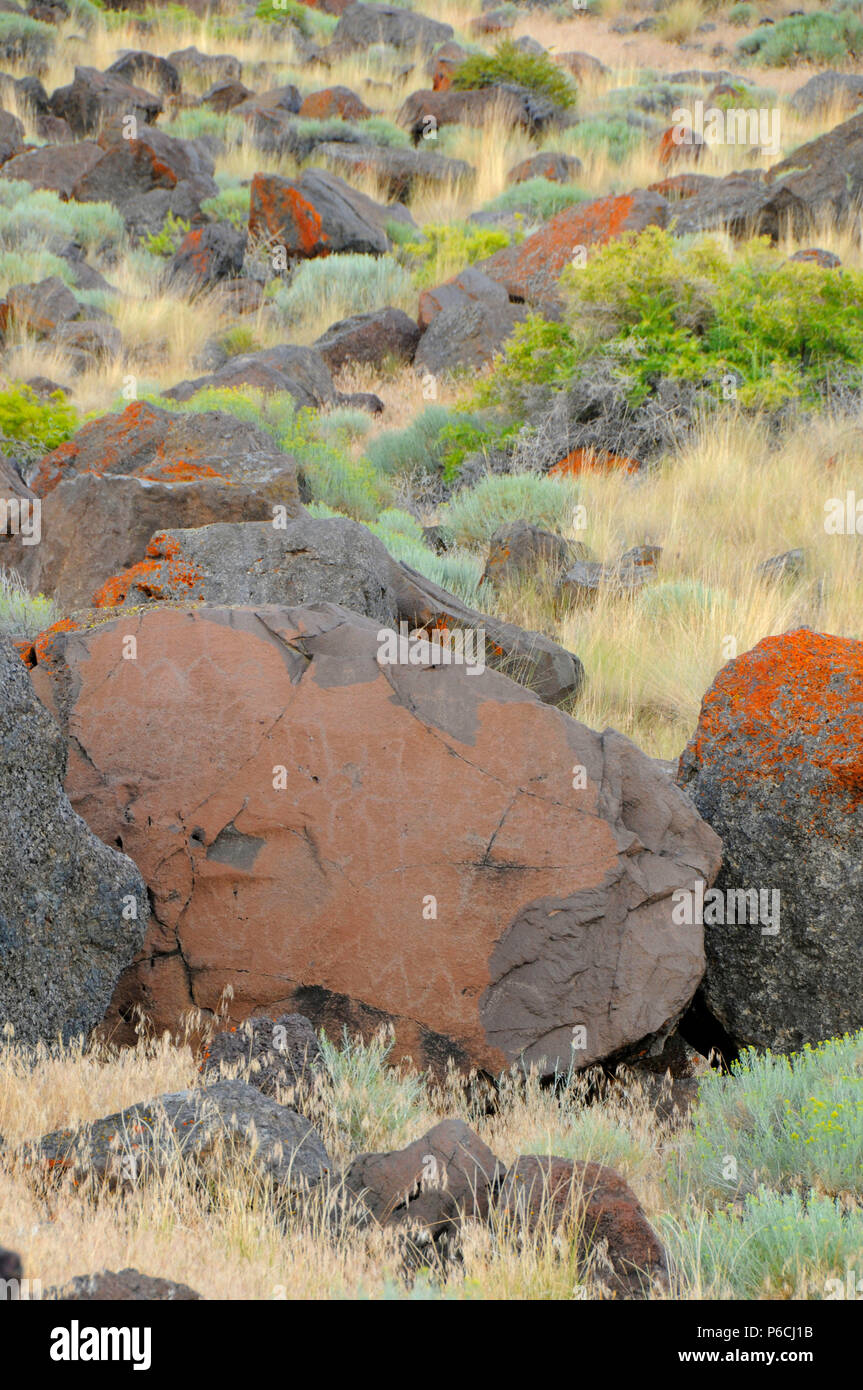 Abert rim wilderness study area hi-res stock photography and images - Alamy