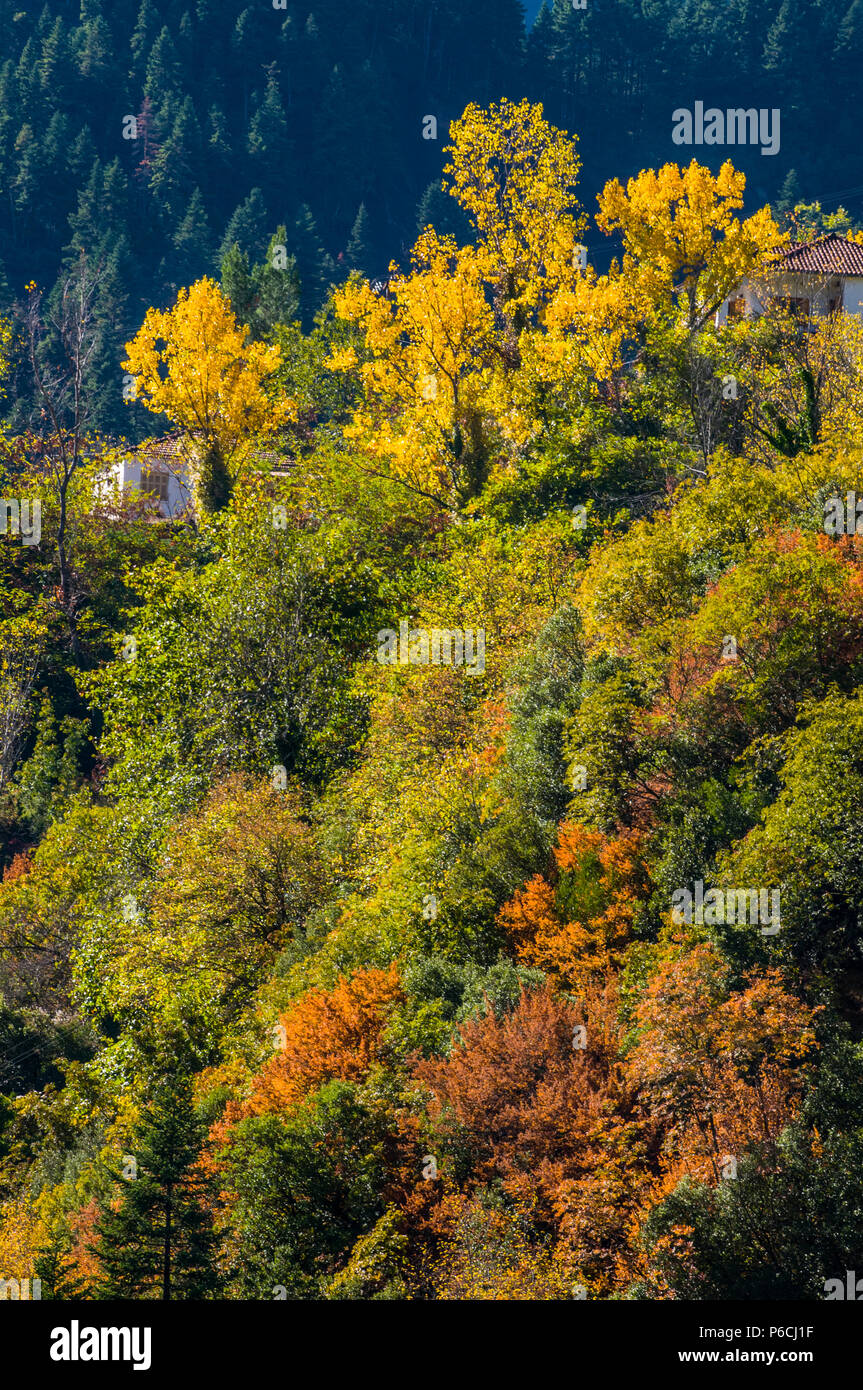 europe, greece, evritania, karpenisi, prousos, village Stock Photo - Alamy