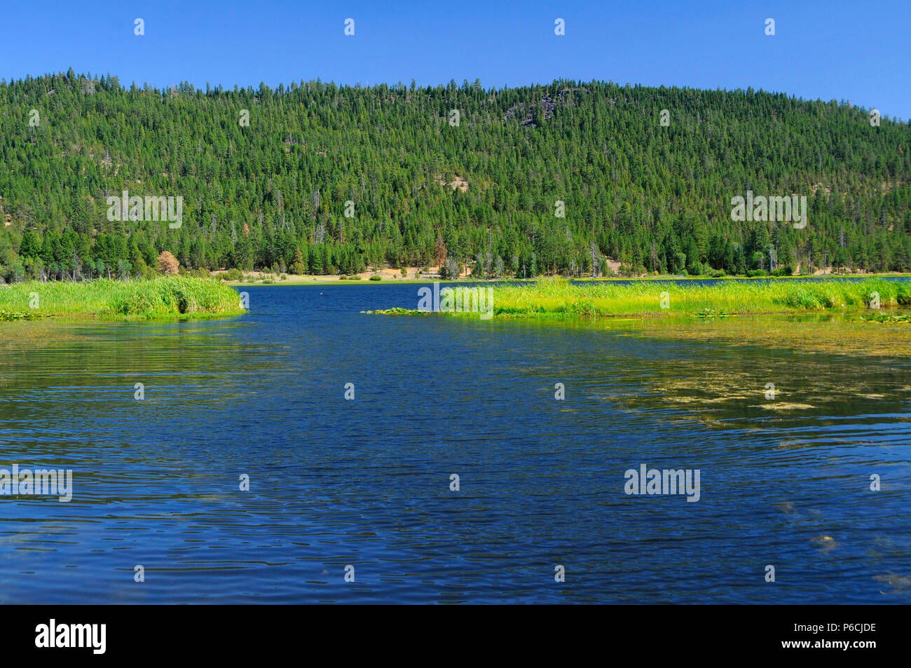 Lakeview campground hi-res stock photography and images - Alamy