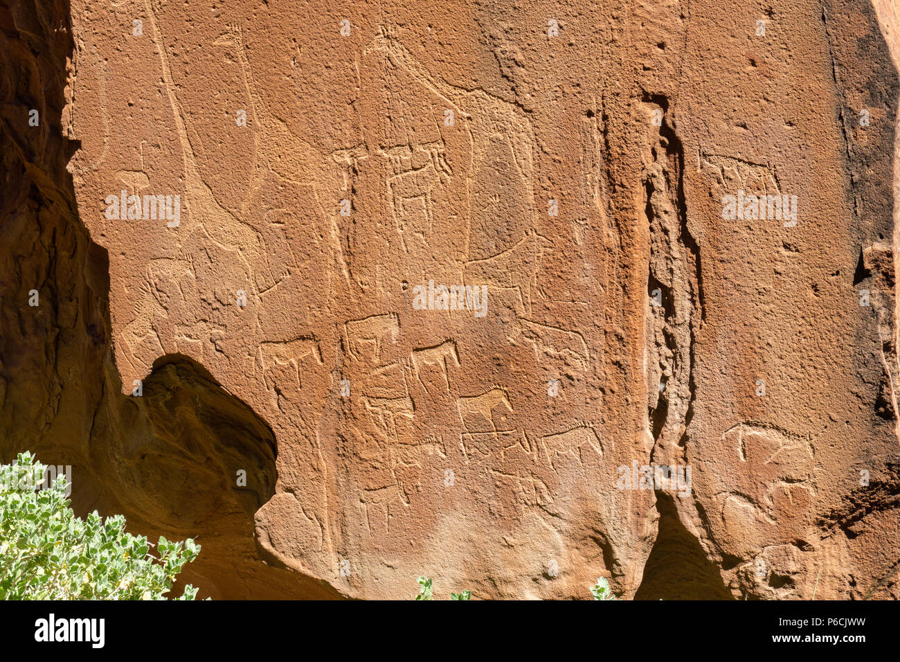 African rock art engravings of animals at UNESCO World Heritage Site ...