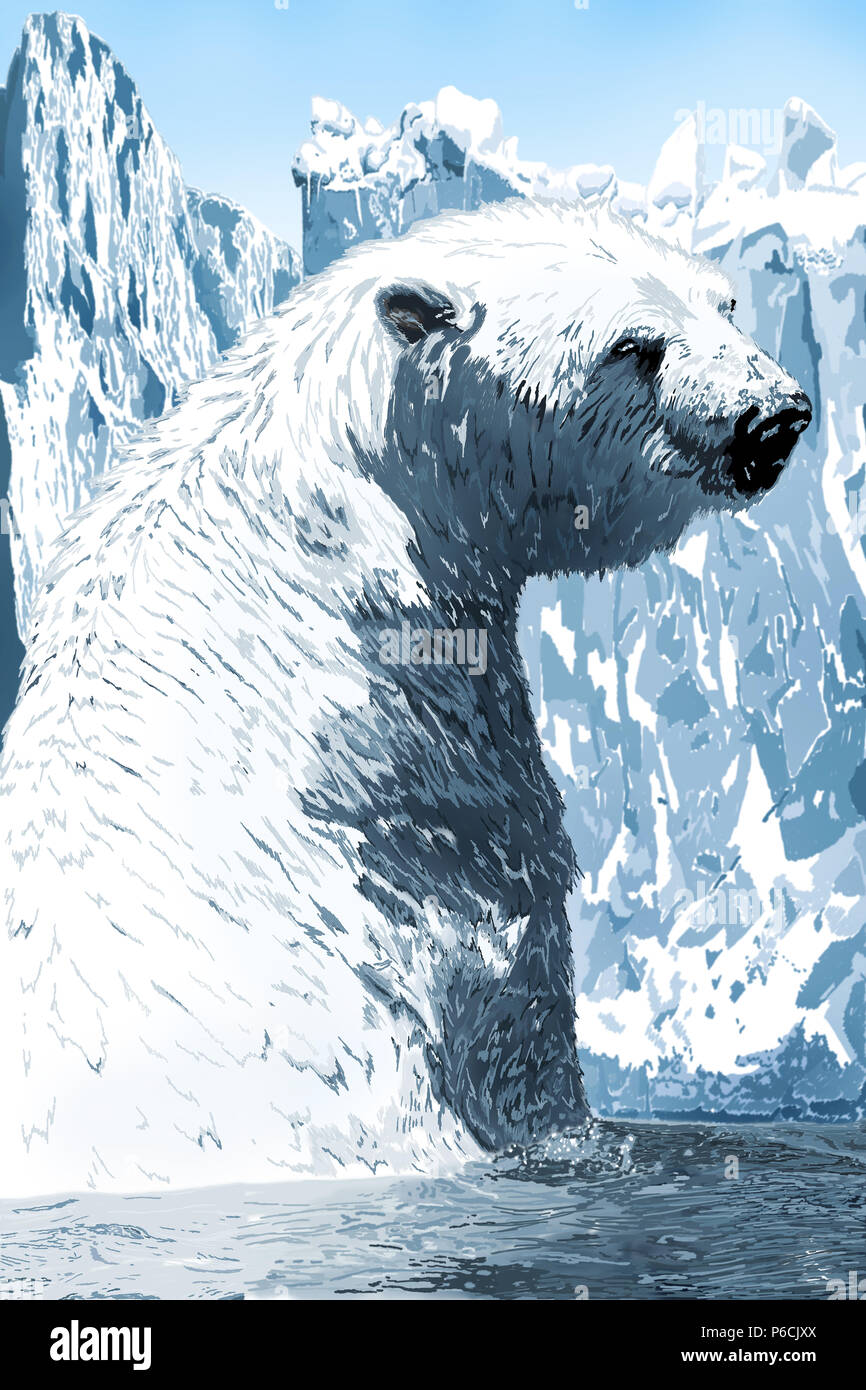 Arctic Polar Bear Drawing