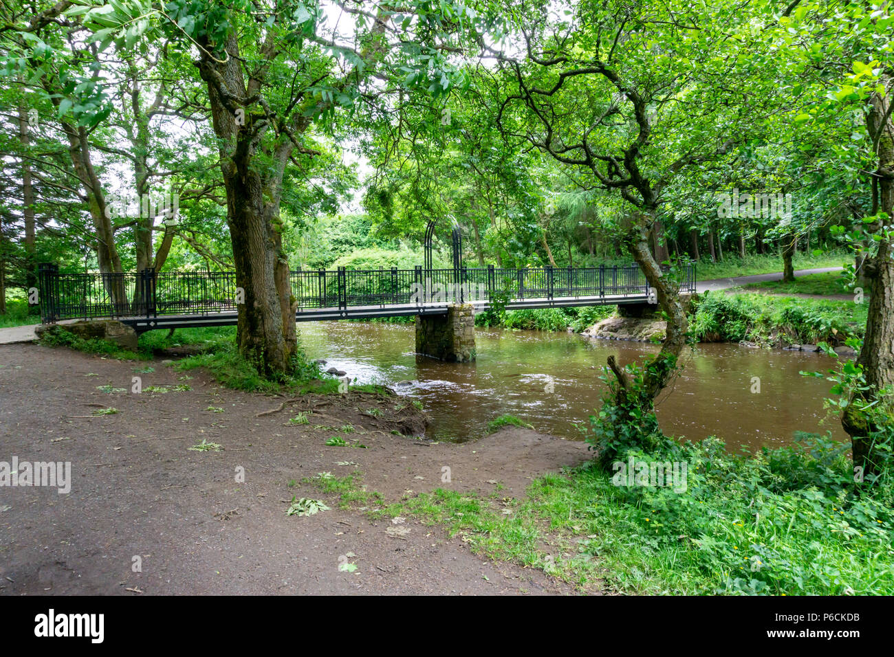In the middle of Eglinton Park is a forrest walk with the newer ...