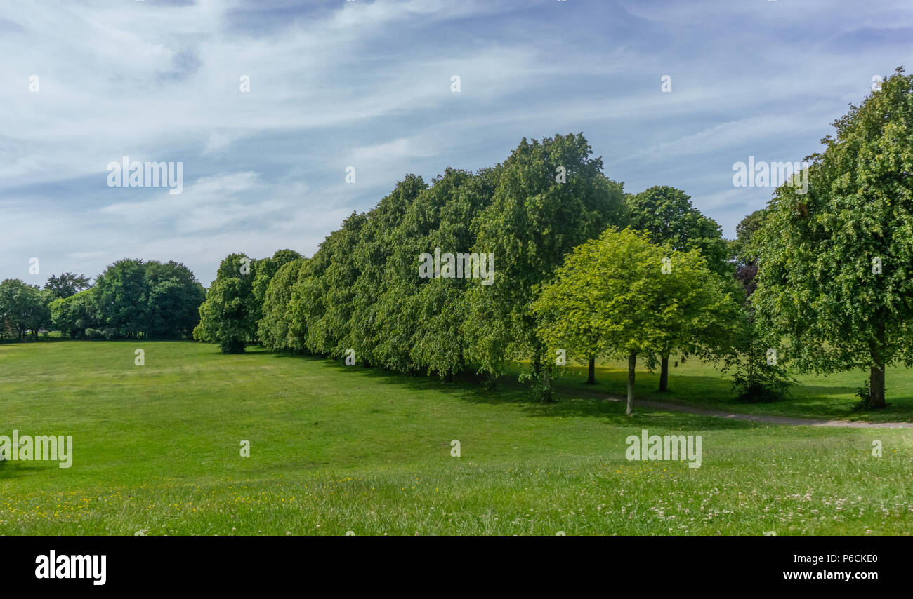 Irvine summer hi-res stock photography and images - Alamy