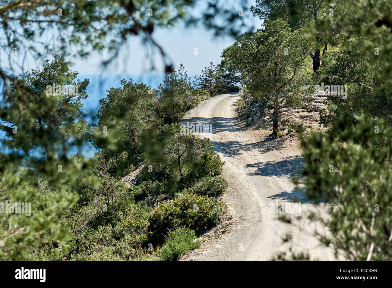 Pine trees ibiza hi-res stock photography and images - Alamy