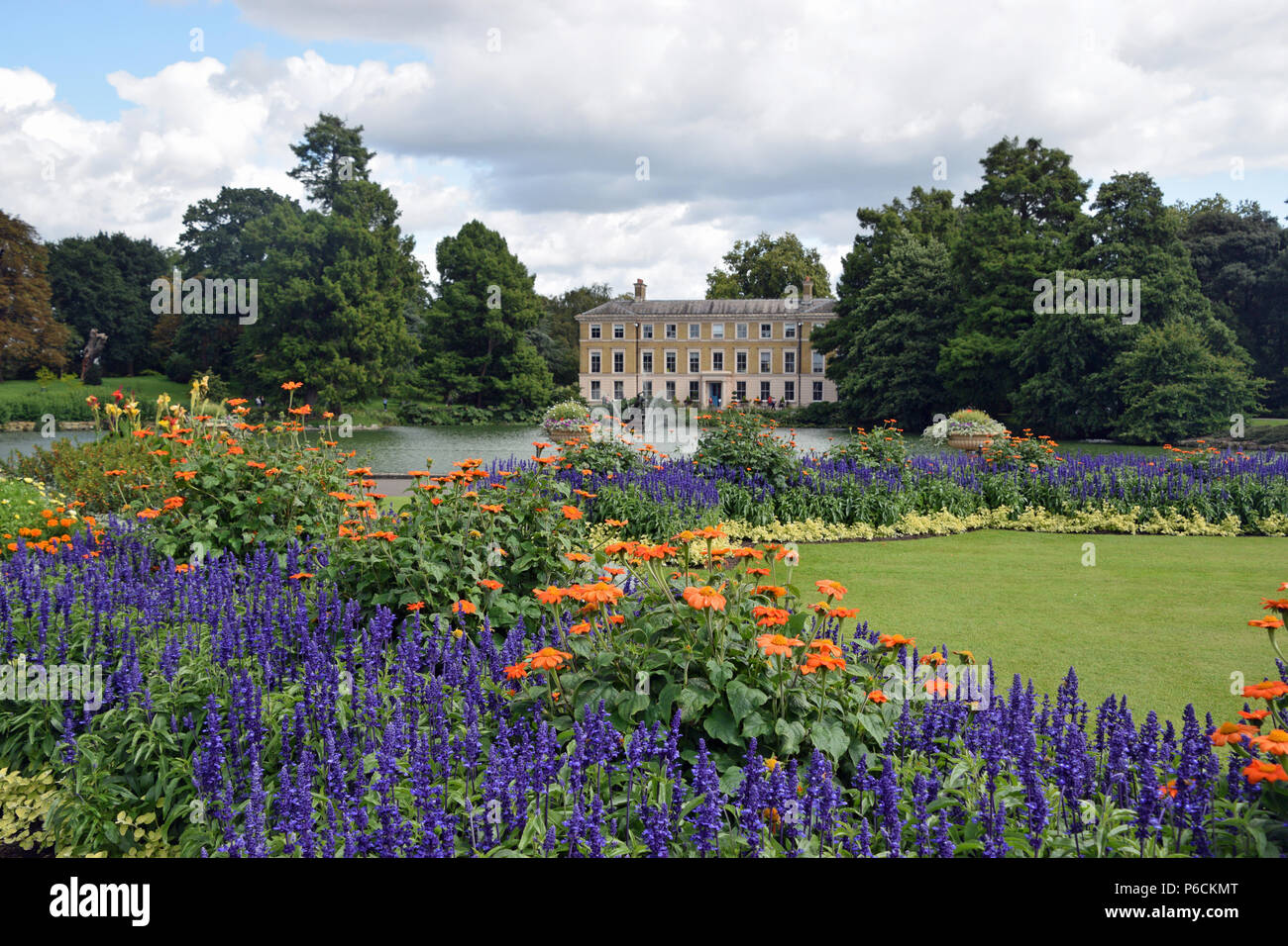 Spring flowers in bloom Stock Photo - Alamy
