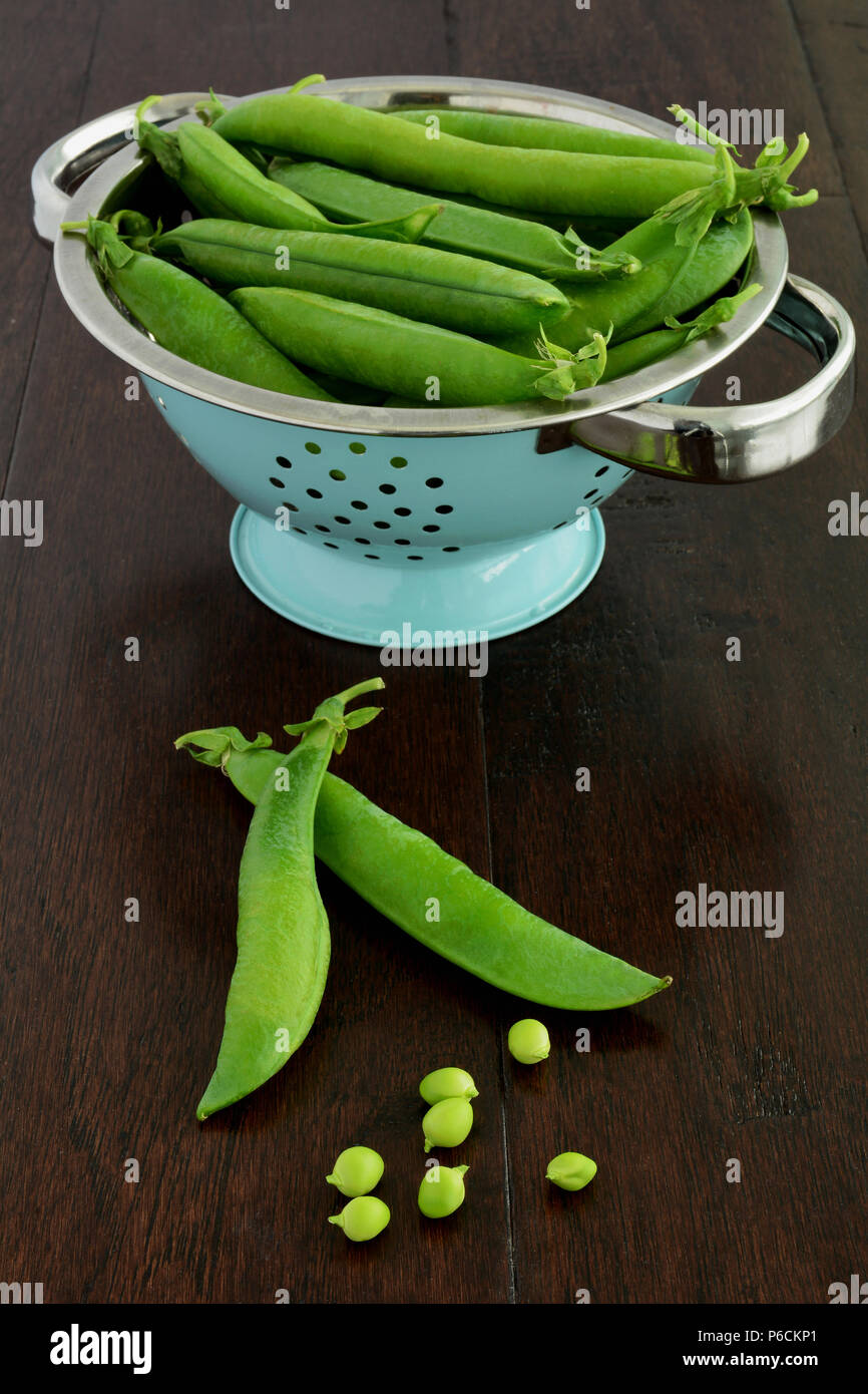 Fresh picked organic English peas in vintage colander on rustic wood ...