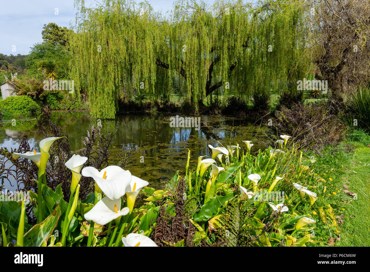 Beautiful scene lake reflection hi-res stock photography and images - Alamy