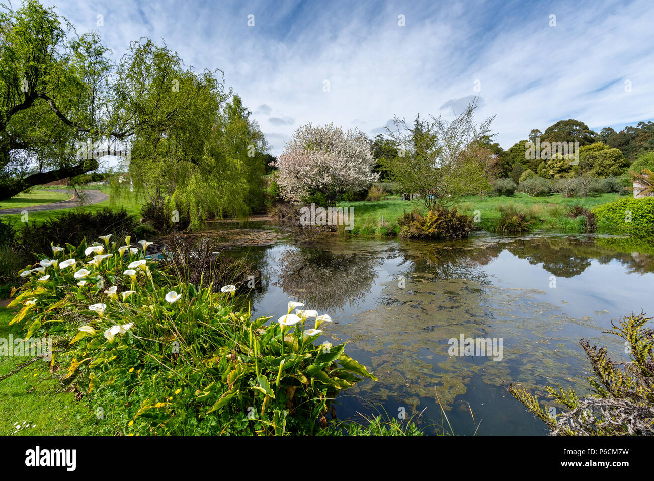Beautiful water scene hi-res stock photography and images - Alamy