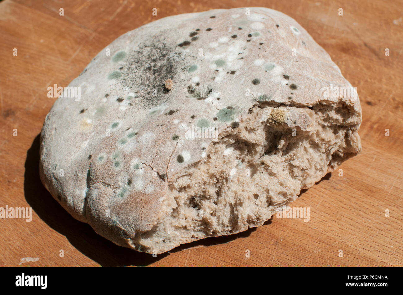 Moldy and musty round wheat bread on wooden background Stock Photo - Alamy