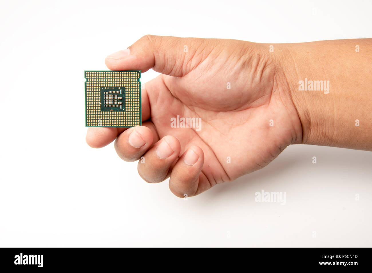 hand holding CPU on white background Stock Photo - Alamy