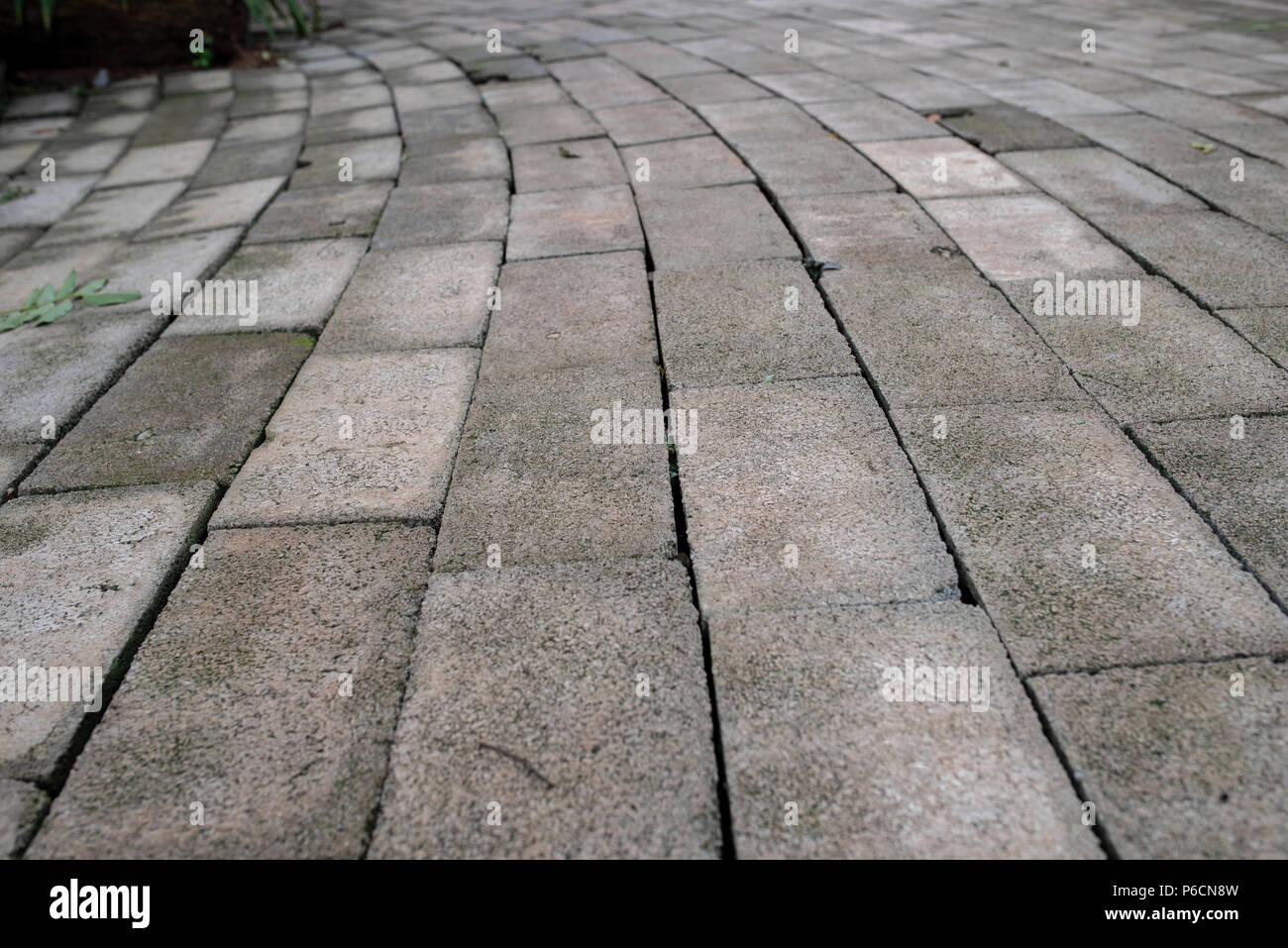 walking road texture Stock Photo - Alamy