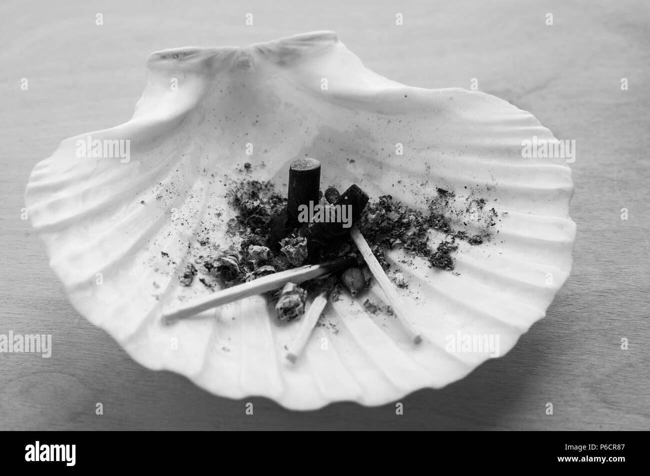 A sea shell as ashtray with cigarette butts, cigarette ash and burnt ...