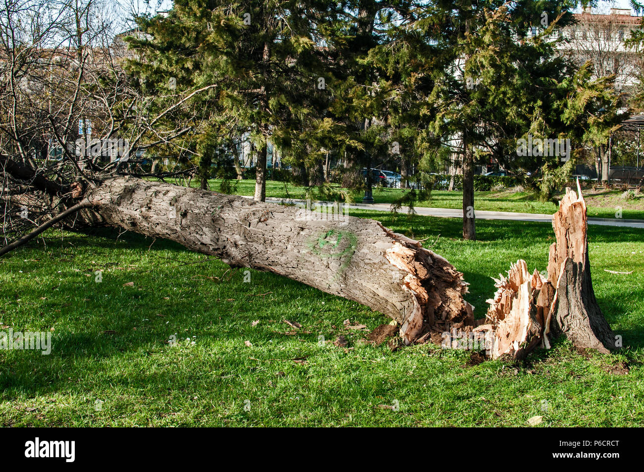 Tornado in urban environment hi-res stock photography and images - Alamy