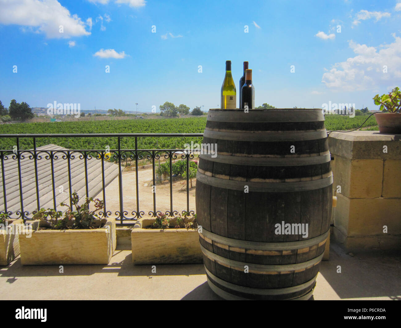 Winery field with barrel and bottles in the foreground Stock Photo - Alamy