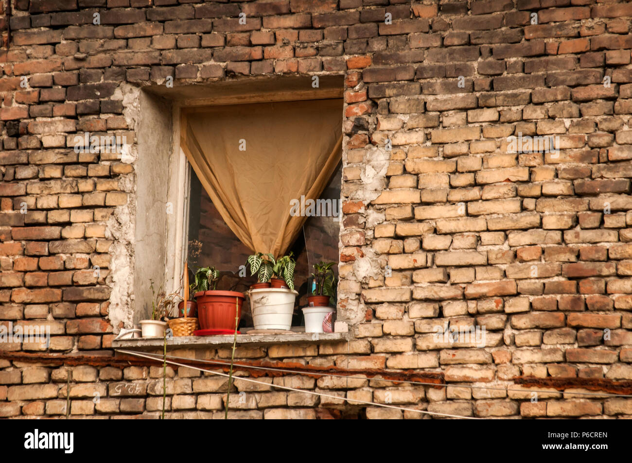 Old grunge poor weathered house brick wall backside facade with window ...