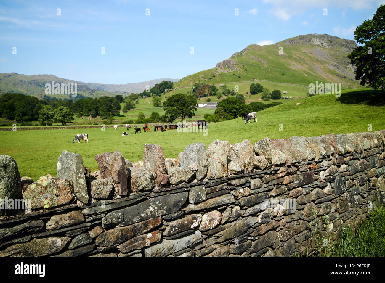 Slate dry stone wall hi-res stock photography and images - Alamy