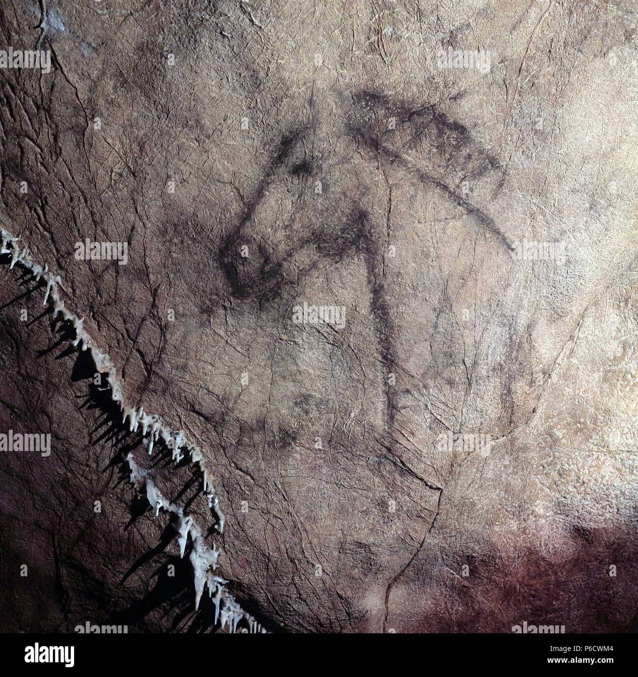 ARTE RUPESTRE. PINTURA. CUEVA DE TITO BUSTILLO EN RIBADESELLA. ASTURIAS ...