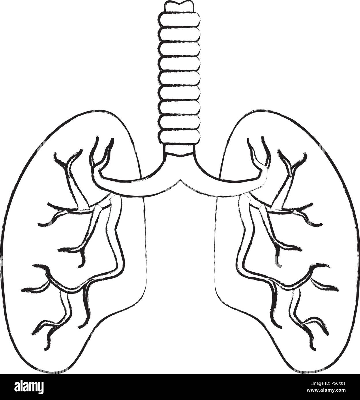 Human Lungs Icon Over White Background Vector Illustration Stock
