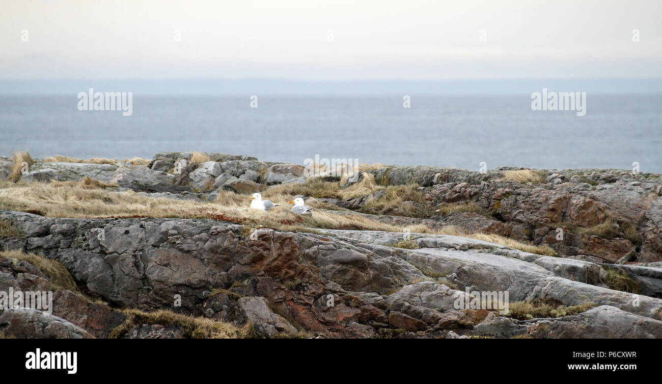 Can You Drive To Labrador Canada