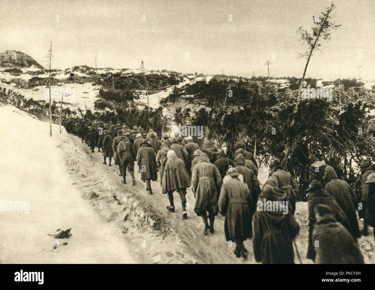 attrition warfare, prisoners of war, monte meletta, meletta position ...