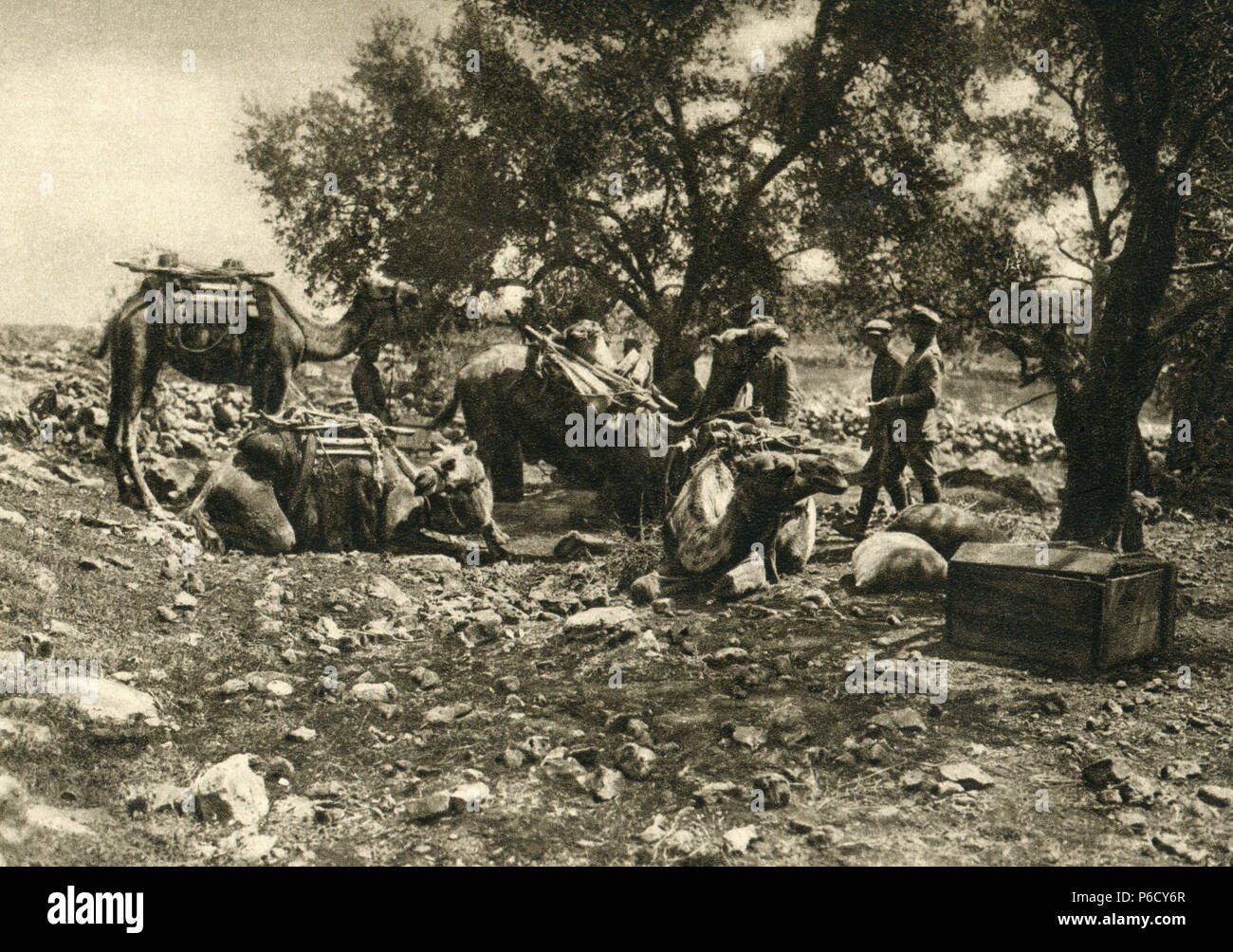 catering, German soldiers, Palestine front, ww1, wwi, world war one ...