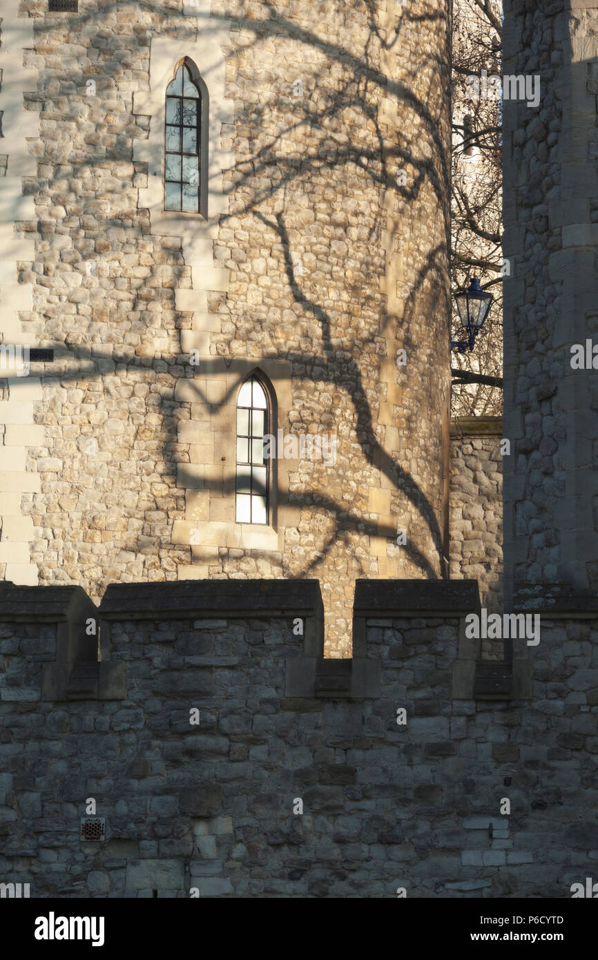 Tree shadow windows hi-res stock photography and images - Alamy