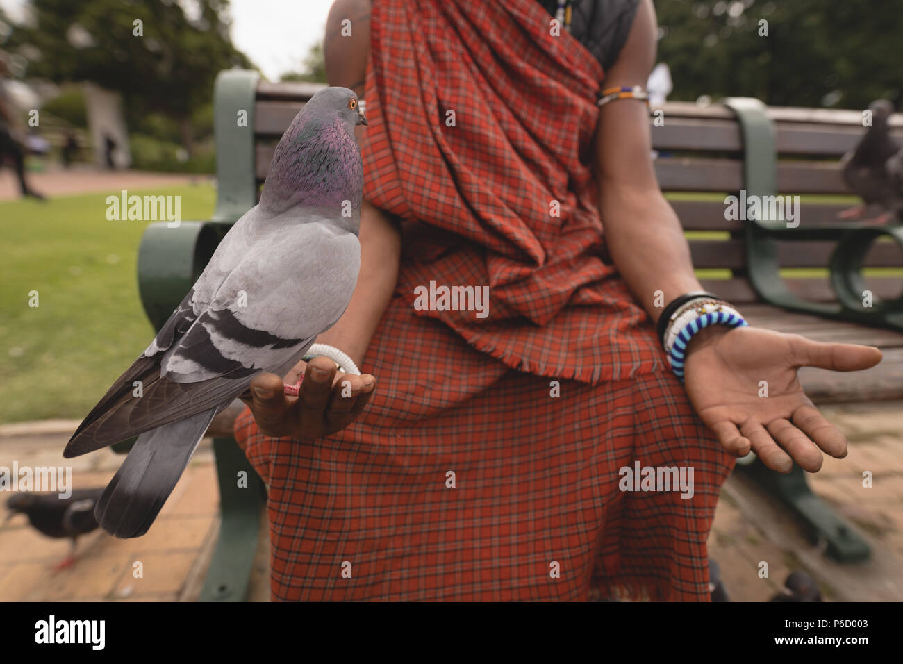 Pigeon perching on maasai man hand Stock Photo - Alamy