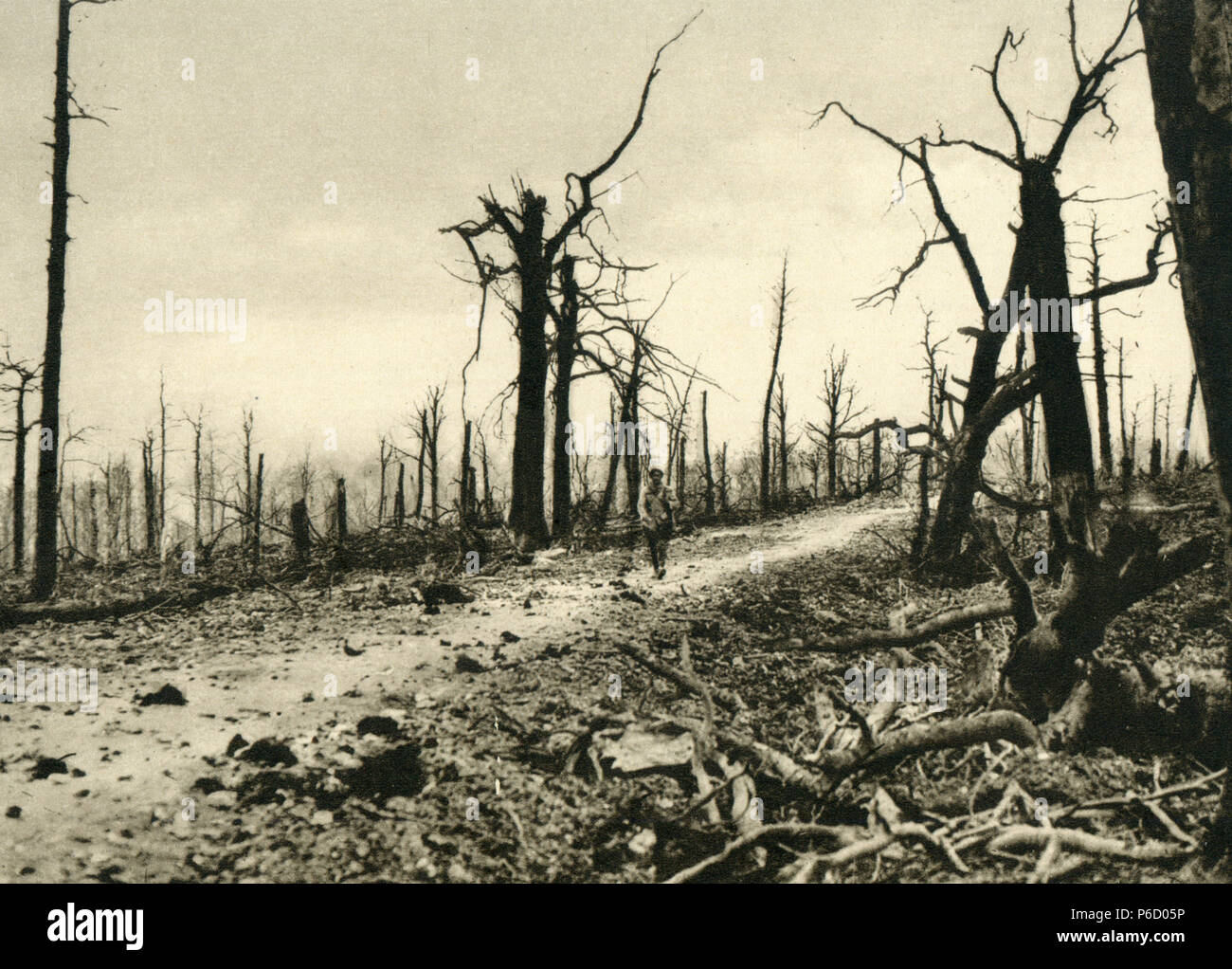 forest, army soldier, world war i, ww1, wwi, world war one Stock Photo ...