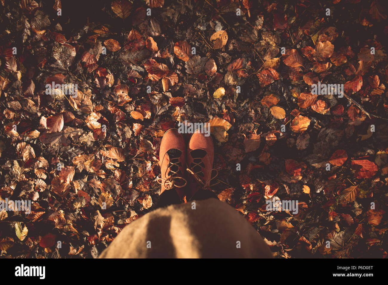 Overhead autumn leaves hi-res stock photography and images - Alamy