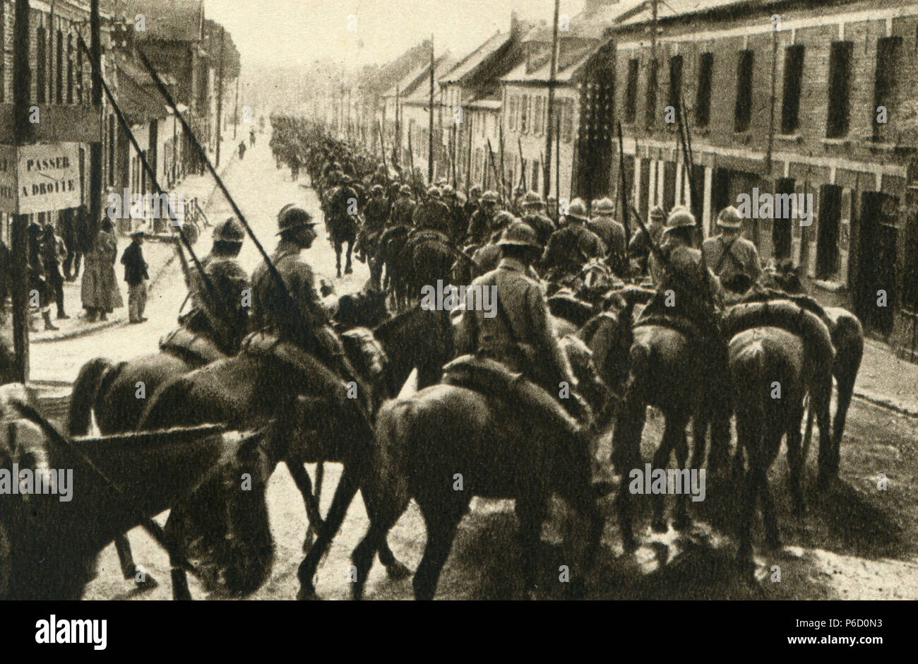 cavalry, military horse, ww1, wwi, world war one Stock Photo - Alamy