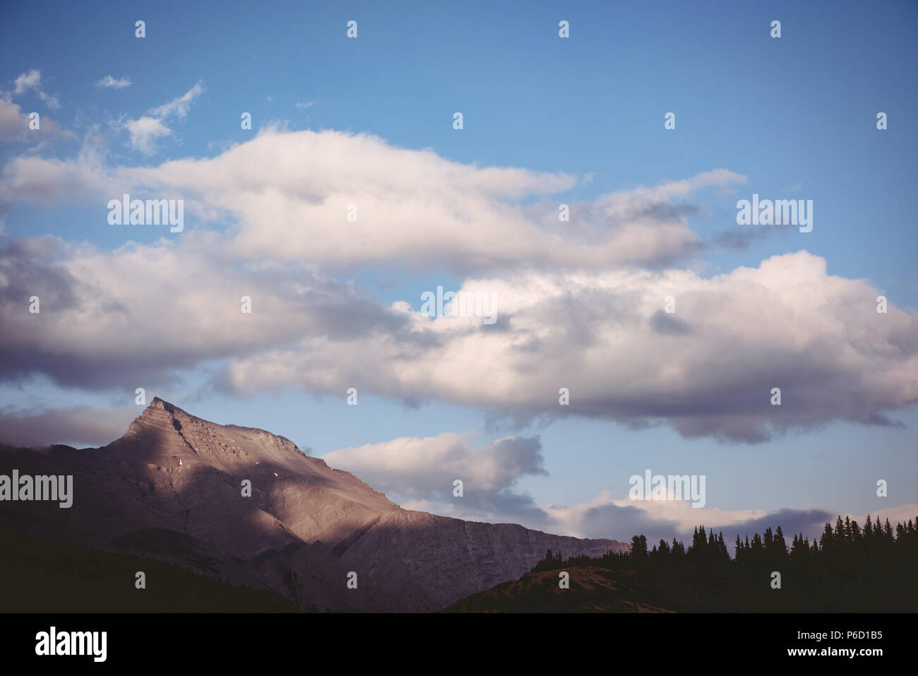 Sunny nature scene hi-res stock photography and images - Alamy