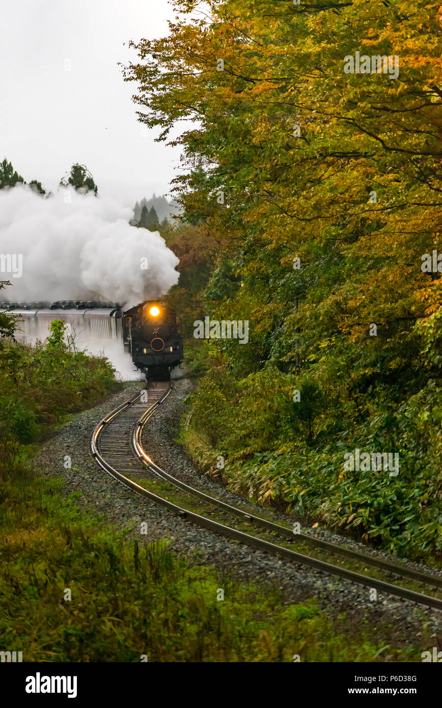 steam locomotive in autumn forest at Fukushima Japan Stock Photo - Alamy