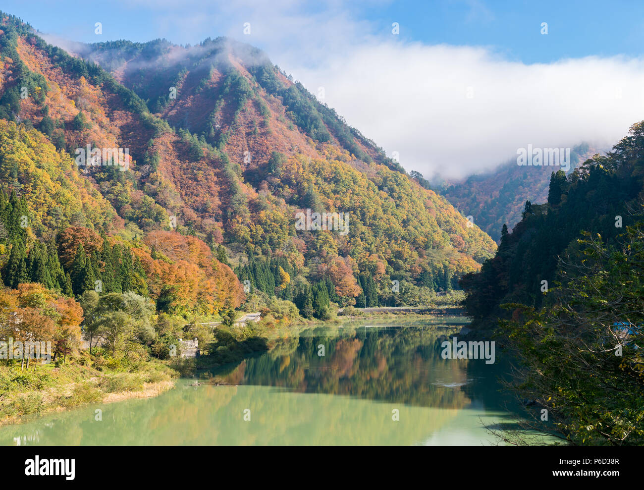 Autumn fall foliage Koyo in Tadami Region Fukushima Japan Stock Photo ...