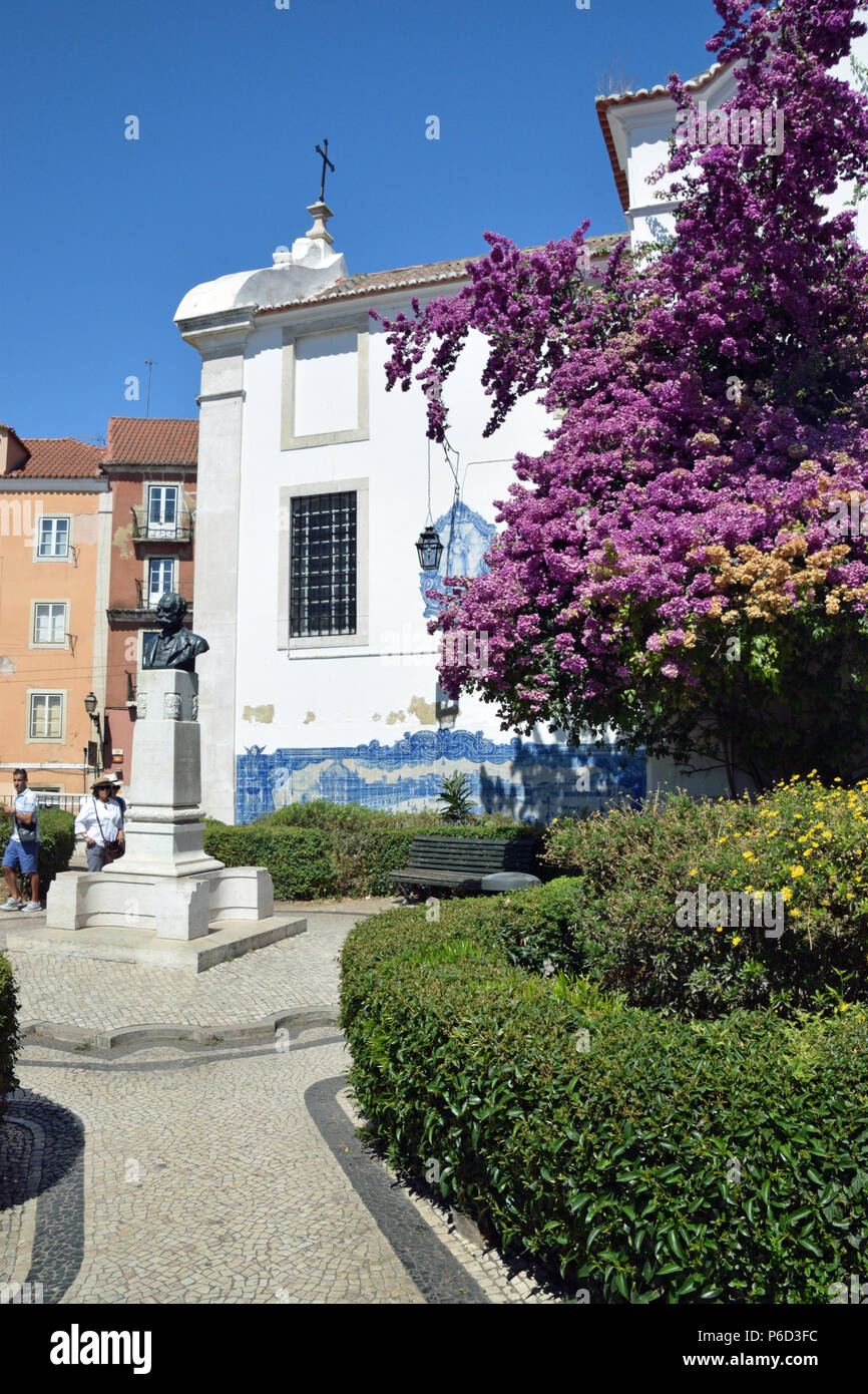 Purple trees lisbon hi-res stock photography and images - Alamy