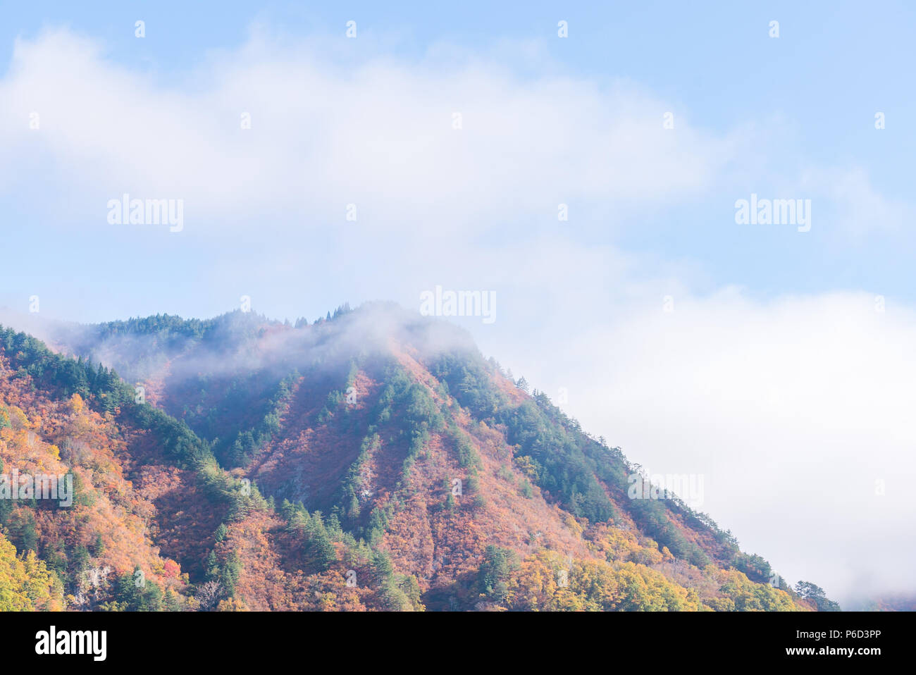 Autumn fall foliage Koyo in Tadami Region Fukushima Japan Stock Photo ...
