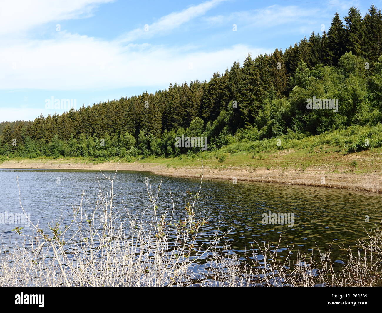 Green tree reservoir hi-res stock photography and images - Alamy
