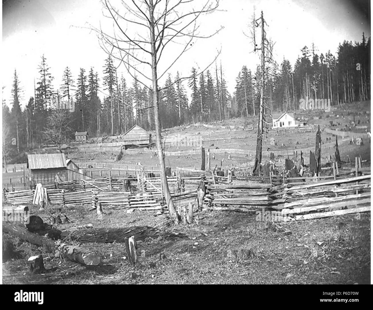 . English: Ranch near Renton, Washington, October 1895 . English: On ...
