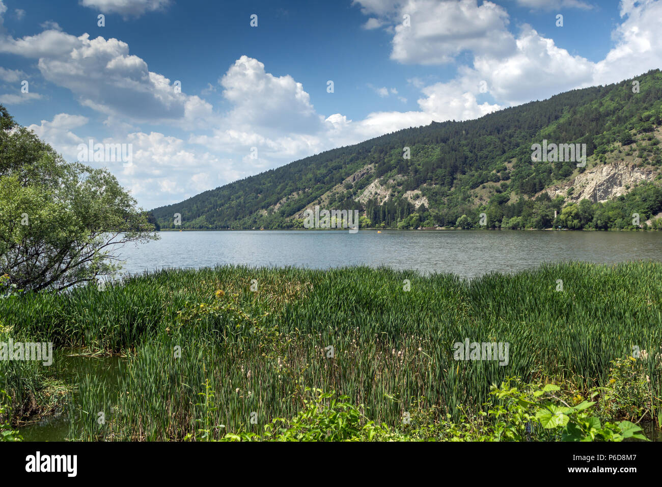 Amazing Summer Landscape of Pancharevo lake, Sofia city Region ...
