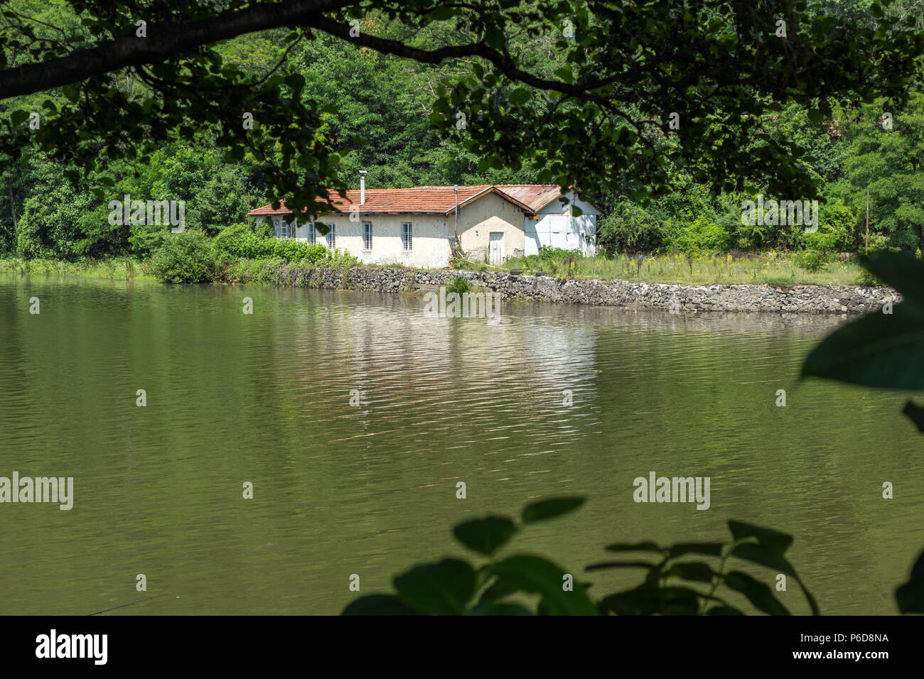 Amazing Summer Landscape of Pancharevo lake, Sofia city Region ...