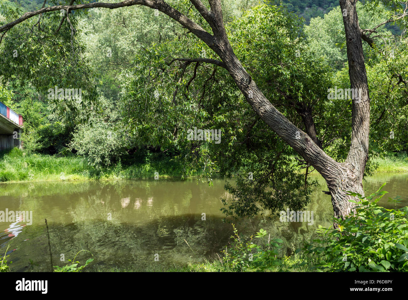 Amazing Summer Landscape of Pancharevo lake, Sofia city Region ...