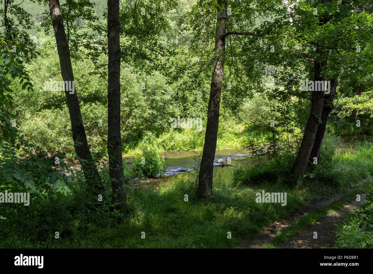 Amazing Summer Landscape of Pancharevo lake, Sofia city Region ...