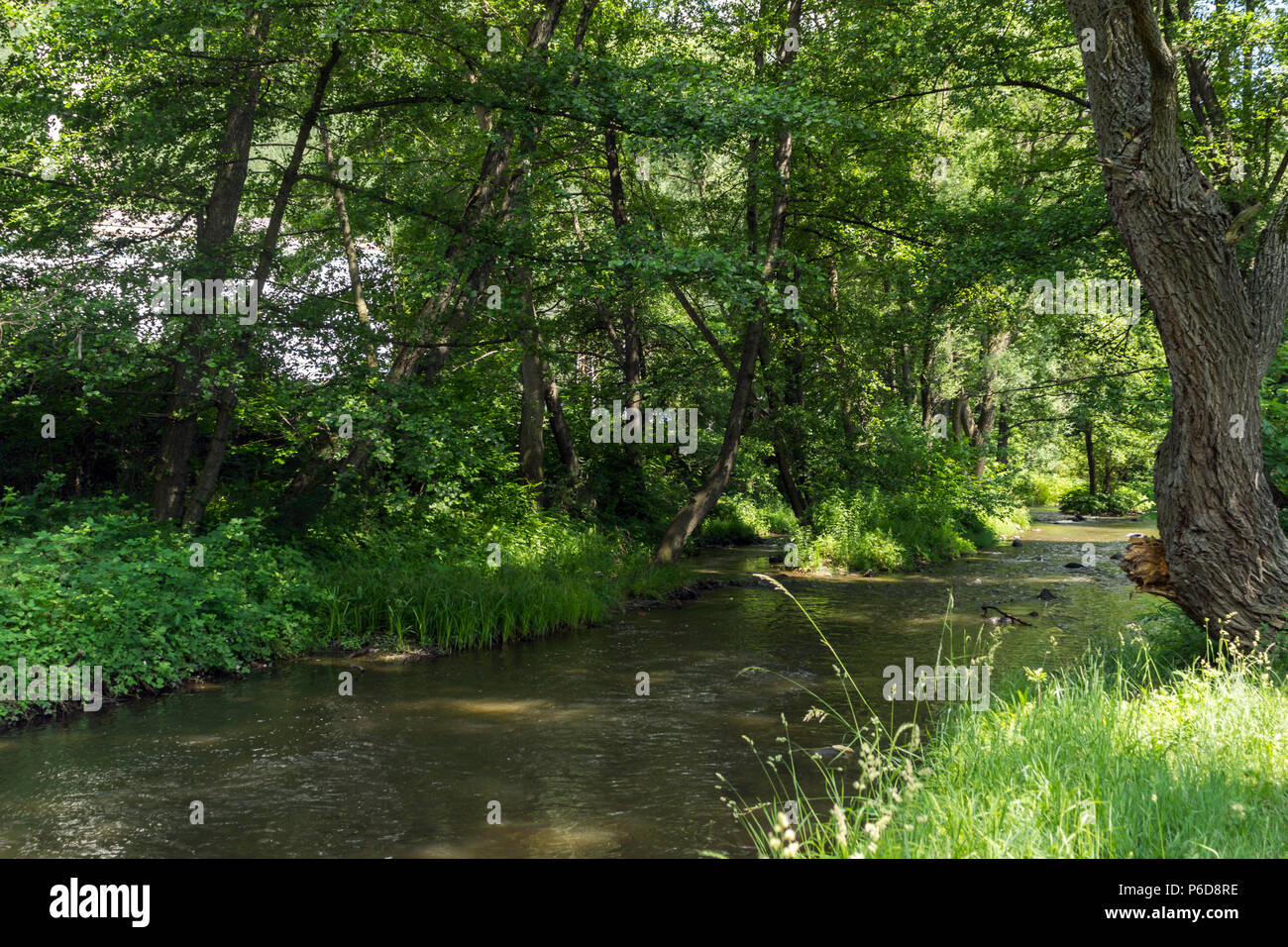 Amazing Summer Landscape of Pancharevo lake, Sofia city Region ...