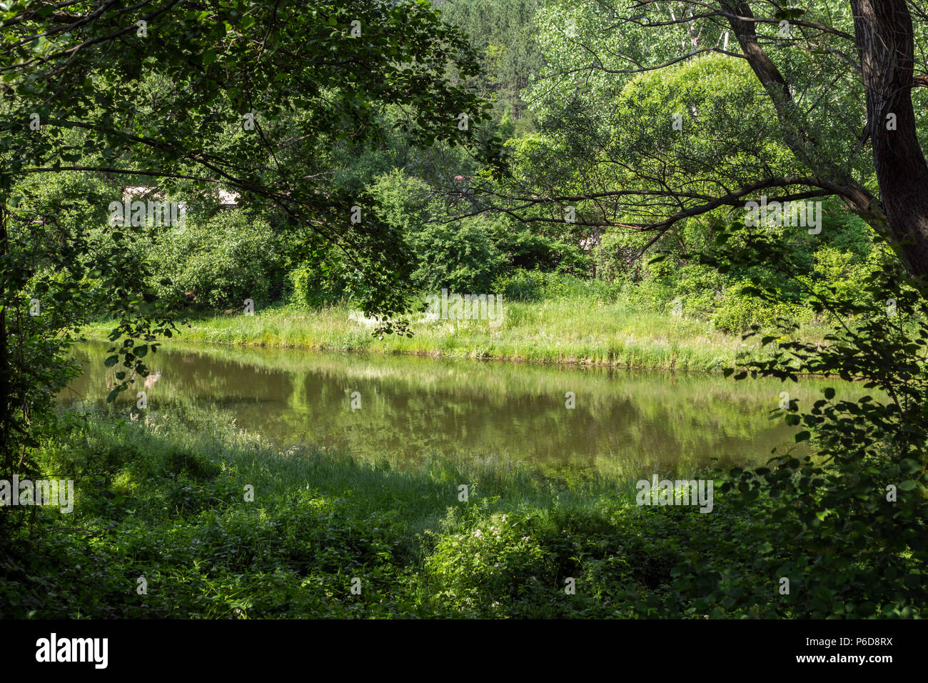 Amazing Summer Landscape of Pancharevo lake, Sofia city Region ...