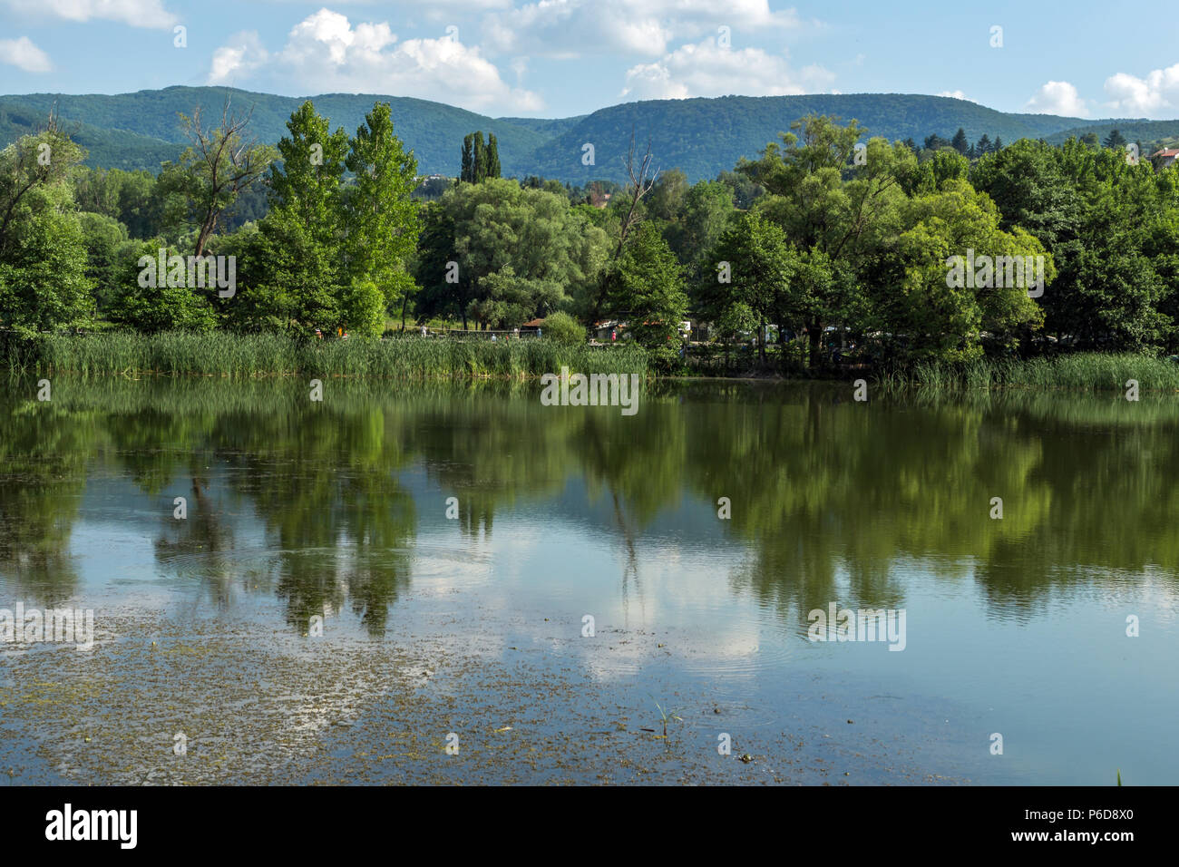 Amazing Summer Landscape of Pancharevo lake, Sofia city Region ...