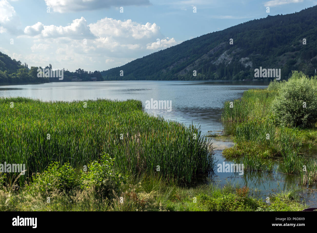 Amazing Summer Landscape of Pancharevo lake, Sofia city Region ...