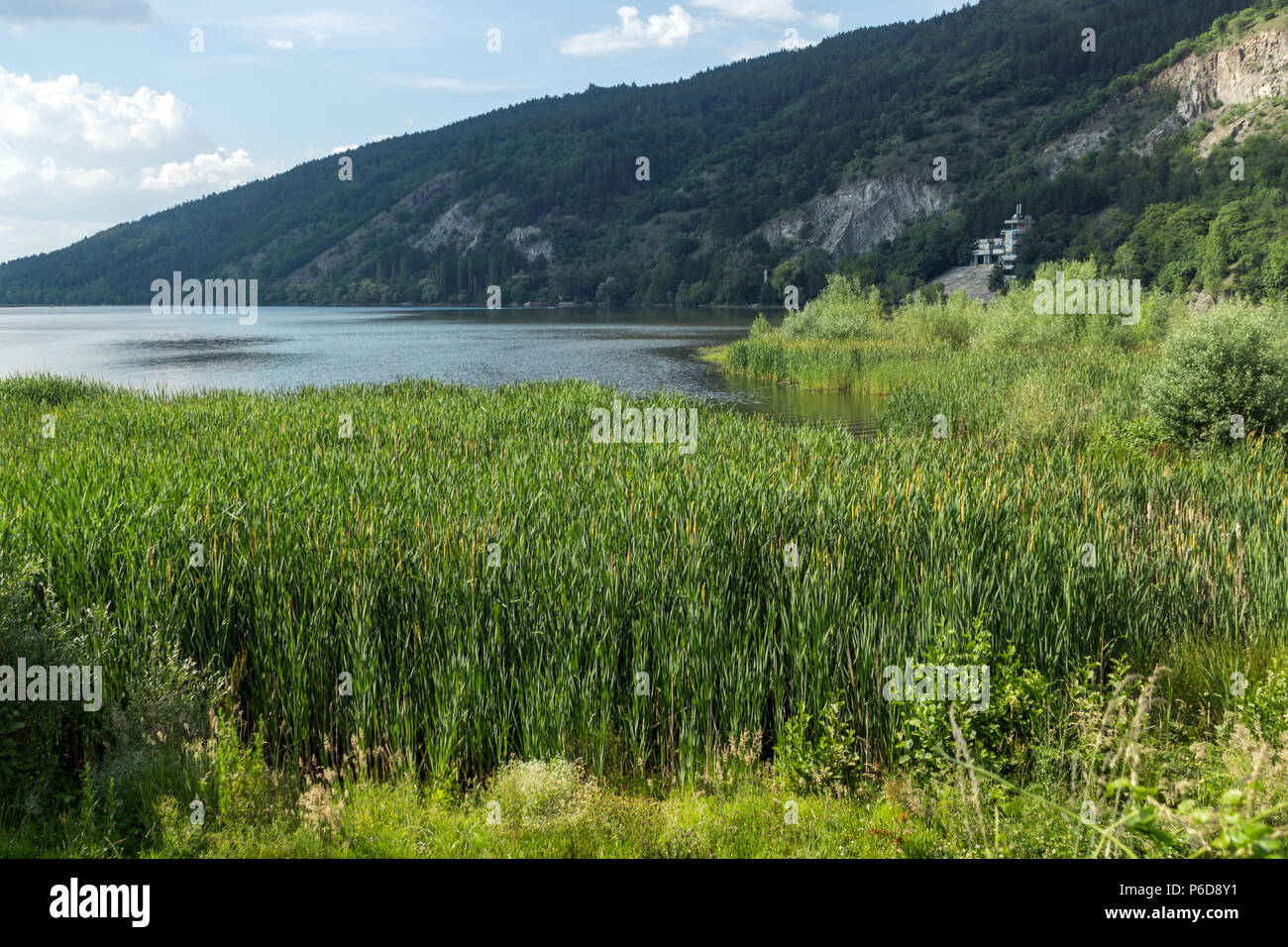 Amazing Summer Landscape of Pancharevo lake, Sofia city Region ...